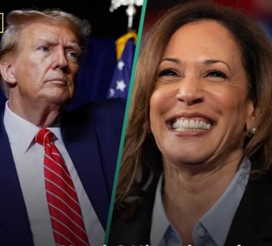 8 Of The 13 Keys Favour Harris Against Trump’s 3; US Historian Who ...