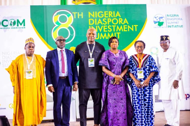 NDIS 2025: Diaspora Investors Chart New Pathways For National ...