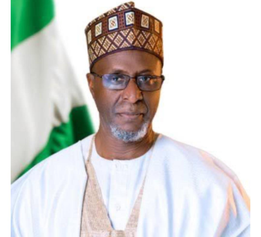 Nigeria Unveils $1bn Forest Rescue Plan To Combat Climate Crisis, Halt ...